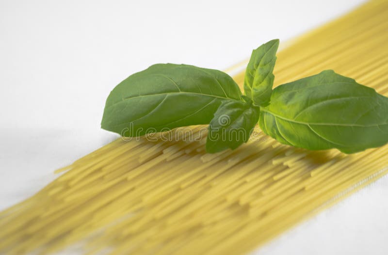 Pasta with Full Basil Leafs Stock Photo - Image of organic, food: 104030580
