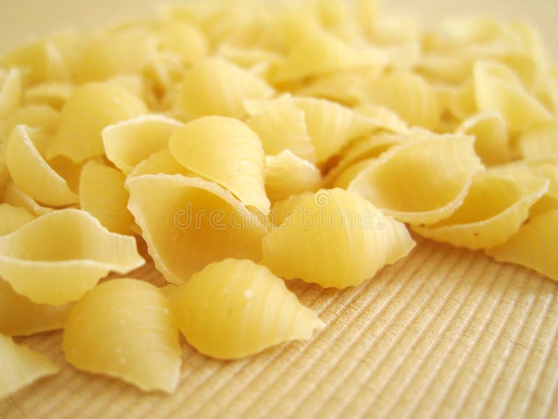 Pasta shell stock photo. Image of pasta, bunch, meal, nature - 5472990