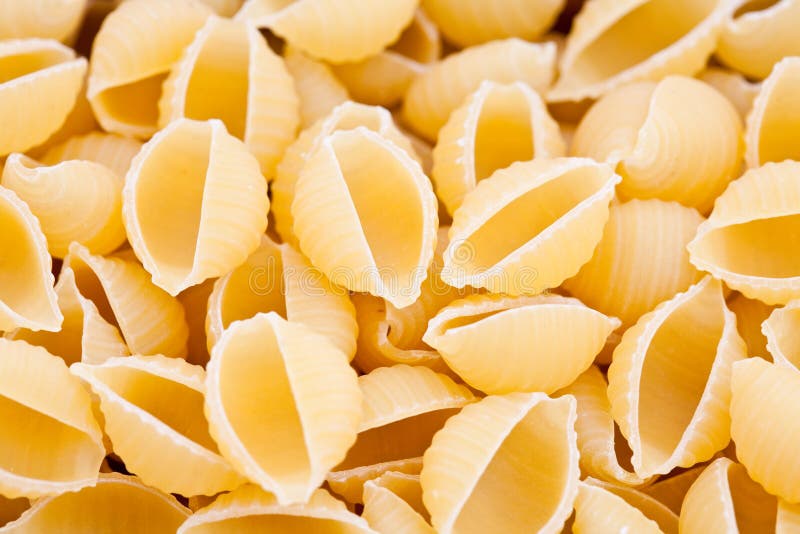 Dried pasta shells stock image. Image of dried, italian - 3299671