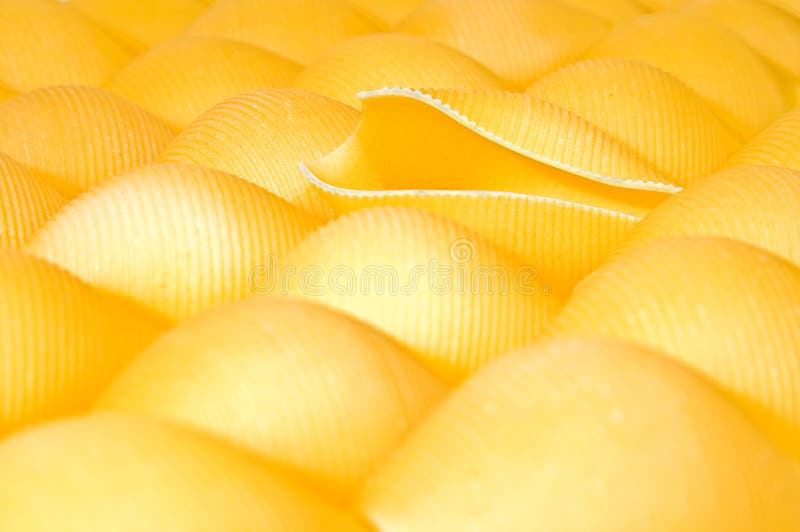 Pasta shells stock image. Image of restaurant, healthy - 17284799