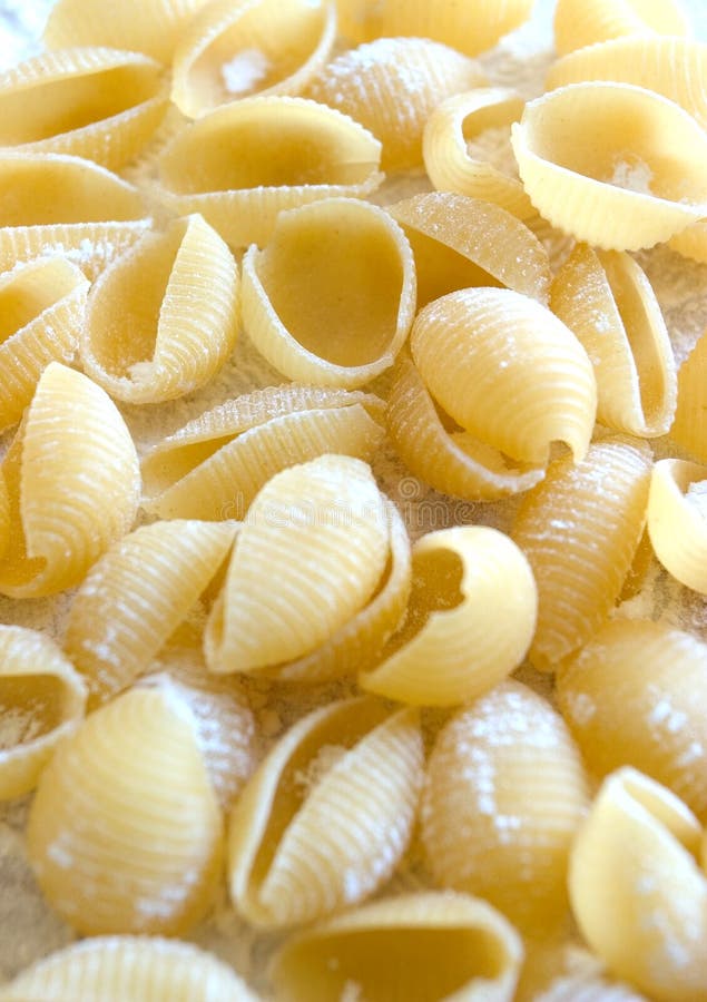 Pasta Shells with Ricotta Cheese and Tomato Sauce Stock Image - Image ...