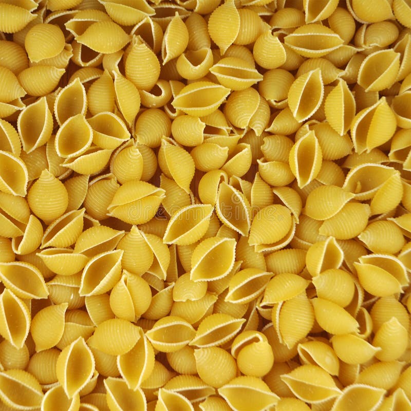 Pasta Shells with Ricotta Cheese and Tomato Sauce Stock Image - Image ...