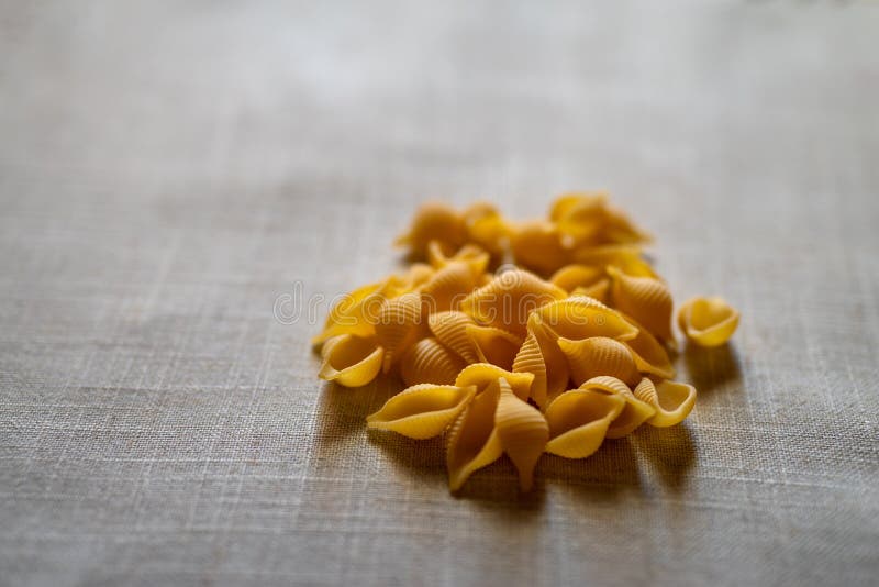 Pasta shells stock photo. Image of ingredient, seashells - 179260810