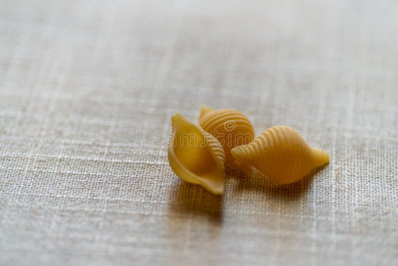 Pasta shells stock photo. Image of italian, cooking - 179260990