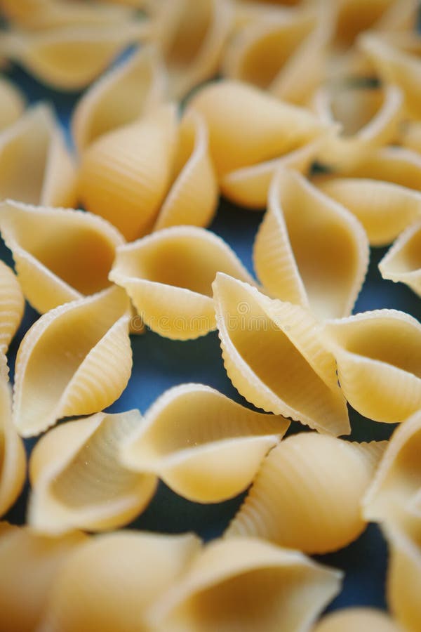 Pasta shells, Conchiglie stock photo. Image of cereal - 115000716