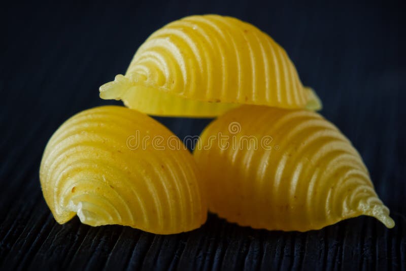 Pasta Shells stock image. Image of pasta, wheat, lumaconi - 136756419