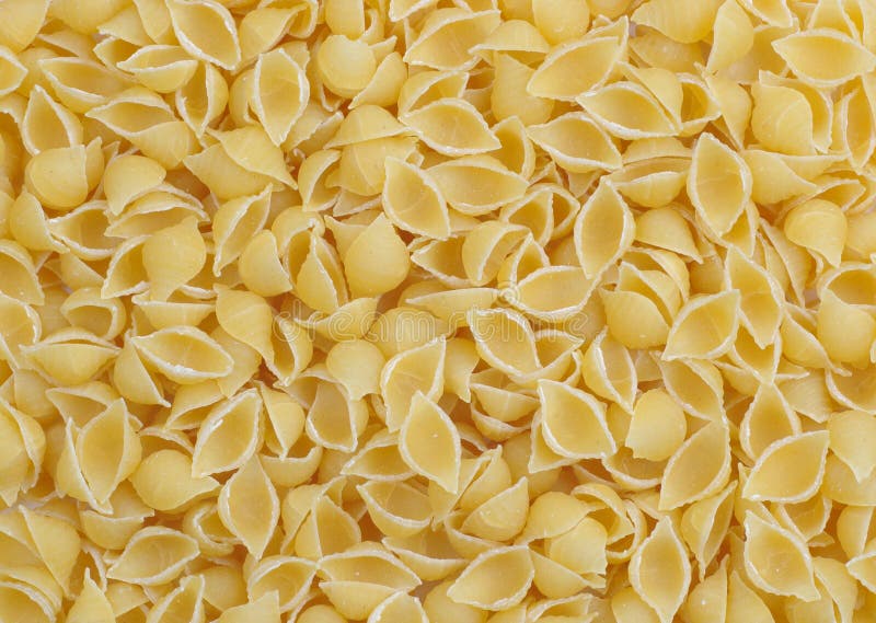 Pasta- small shell stock image. Image of pasta, lunch - 9898845