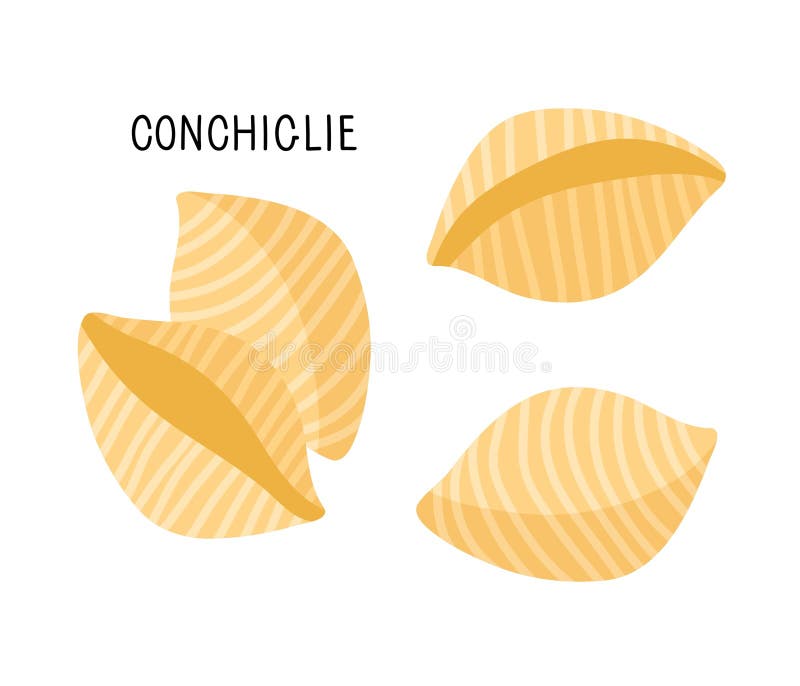 Pasta Type Conchiglie in Flat Style in Shells Shape in Flat Style with ...