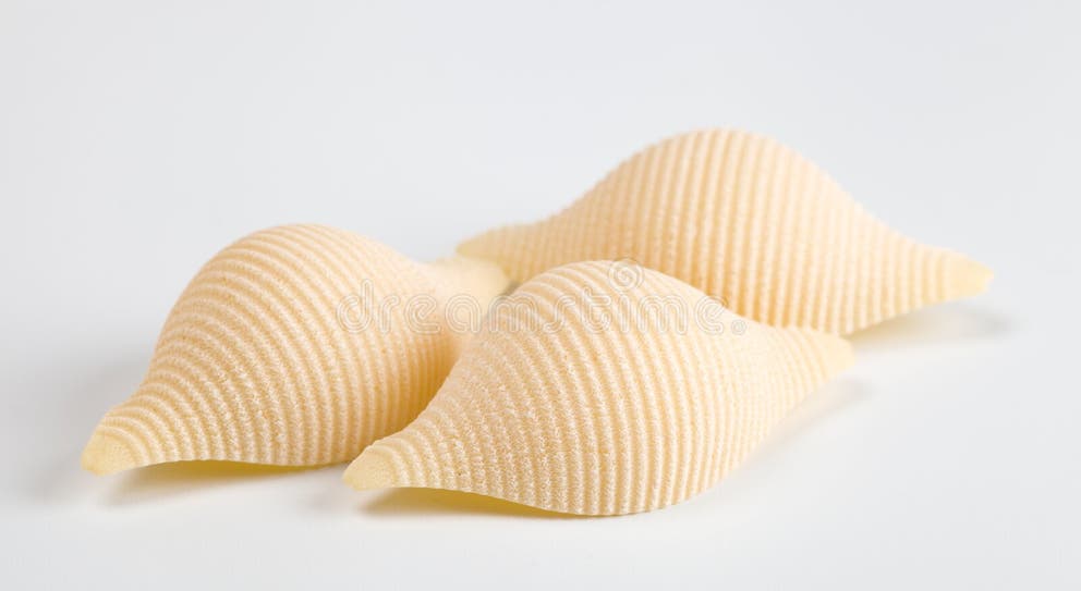 Pastas formadas Seashell foto de archivo. Imagen de inusual - 23977416