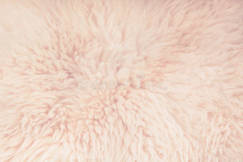Pastel and Beige Fur Close Up Background. Texture, Pattern. Stock Image ...