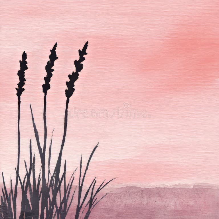 A Pastel-colored Sunset Sky with Wildflowers in Shadow Stock Image ...