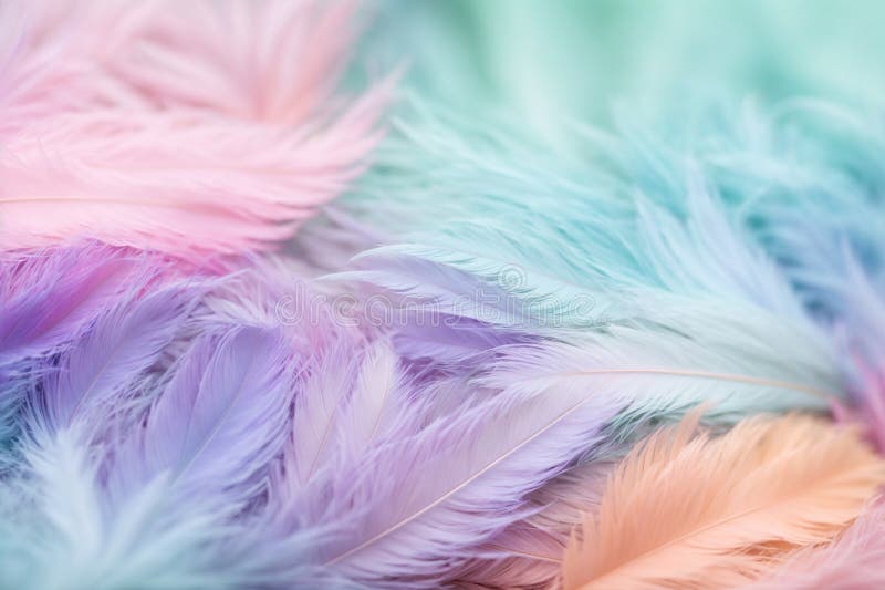 Pastel Colour Feather Abstract Background Stock Photo - Image of design ...