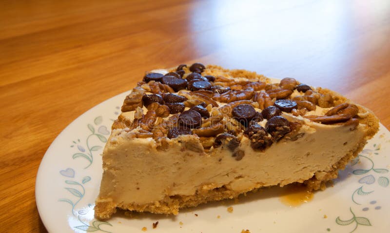 Pastel De Queso De La Tortuga Foto de archivo - Imagen de agua ...