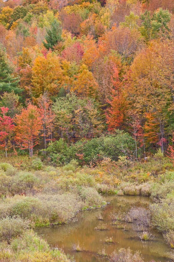 Pastel Fall Colors stock image. Image of pastel, fall - 11189883