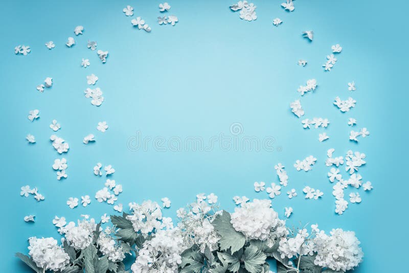 Pastel Flowers Blooming with Petals Frame on Blue Background Stock ...