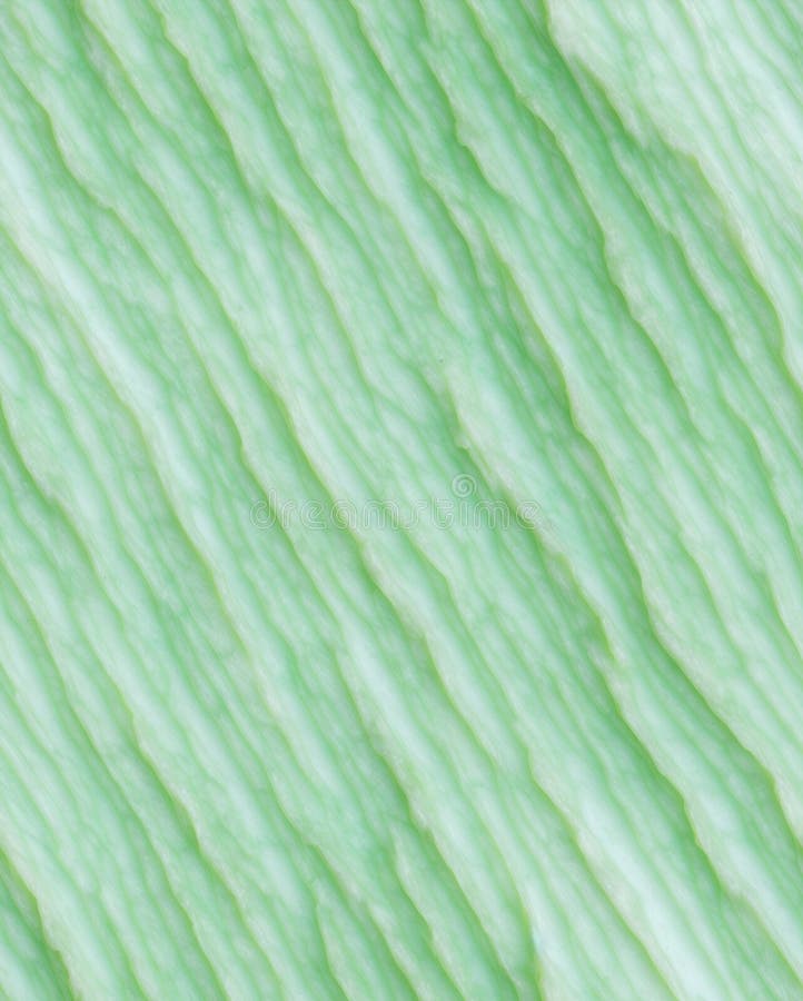 Pastel Green Seamless Pattern for Creative Designs Stock Illustration ...