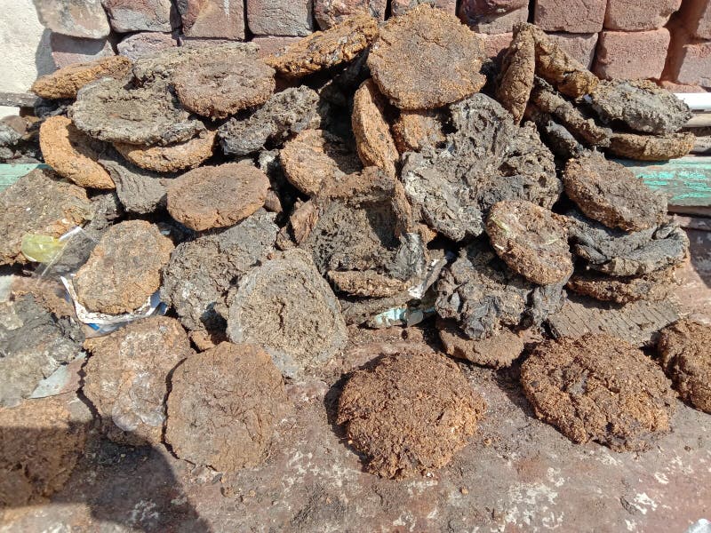 Vaca Pura Dung Cakes Gobar Upla Para Hawan Y Los Rituales Indios, Foto ...