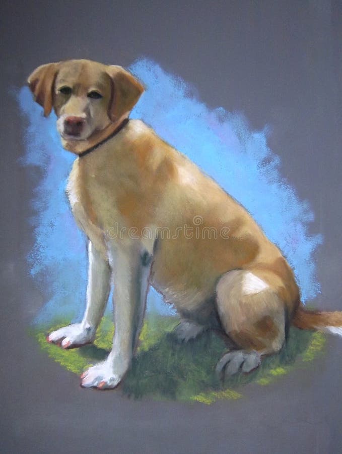 Pastel Painting of Yellow Lab Dog Stock Illustration - Illustration of ...