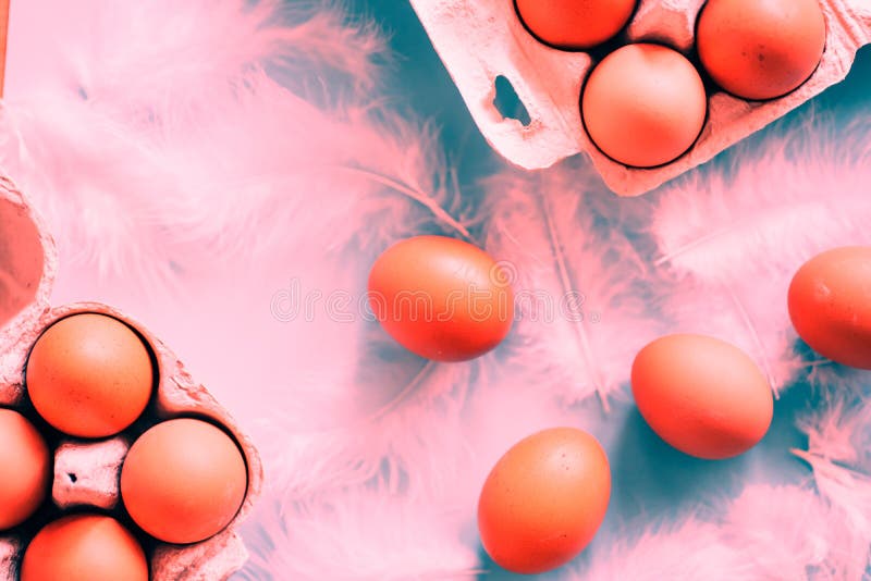 Pastel pink Easter Eggs stock image. Image of food, love - 178851953