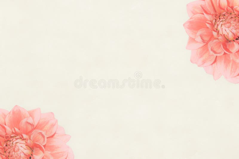 Soft Background with Flower Borders Stock Image - Image of romantic ...