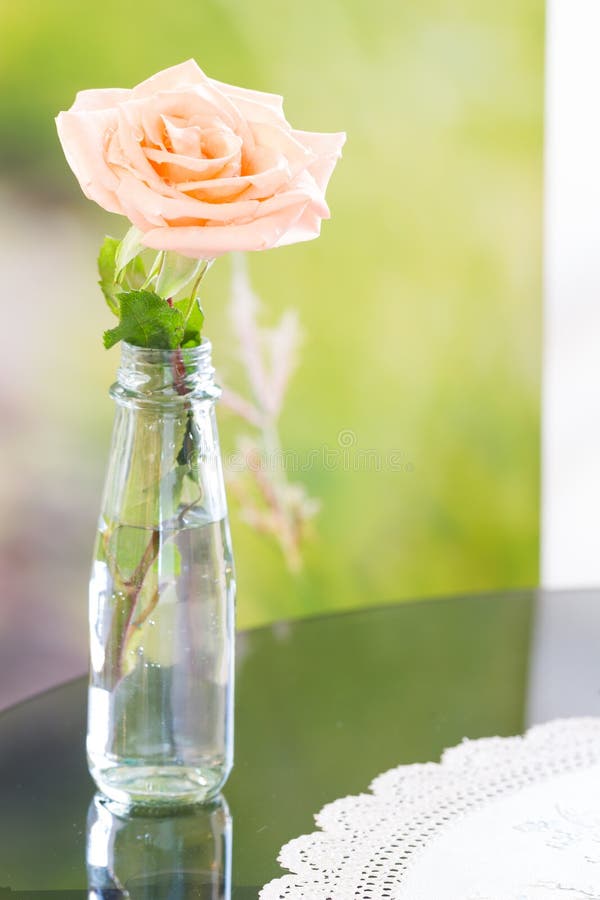 Pastel rose stock image. Image of closeup, petal, beautiful - 49490583