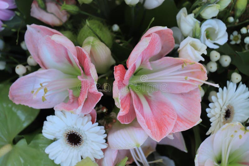 Pastel spring flowers stock image. Image of white, ranunculus - 193158689
