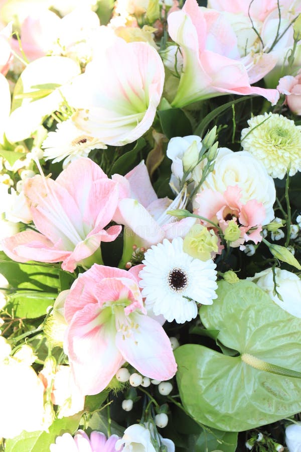 Pastel spring flowers stock photo. Image of flora, petals - 238461814