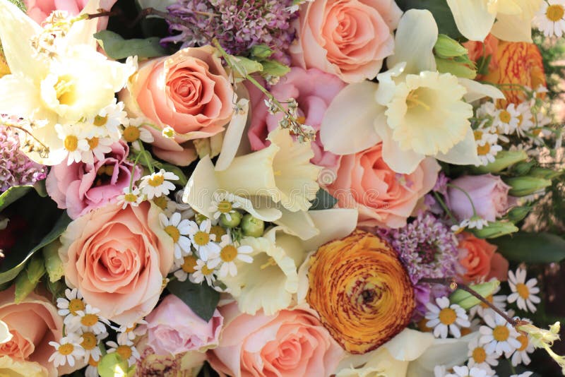 Pastel spring flowers stock photo. Image of mixed, flower - 186620040