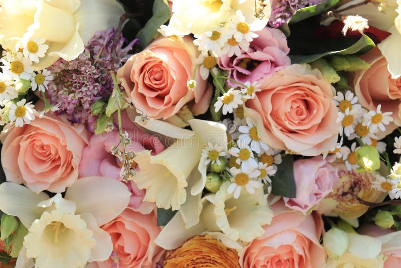 Pastel spring flowers stock image. Image of daffodils - 199509541