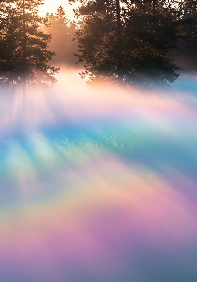 Pastel Sunrise Light Rays through Foggy Forest Stock Illustration ...