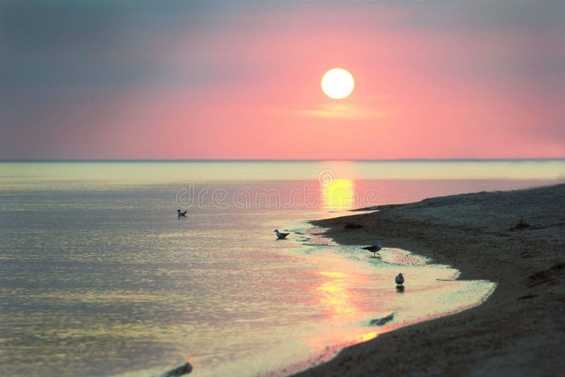 Pastel sunset on the sea stock image. Image of lone - 104140613