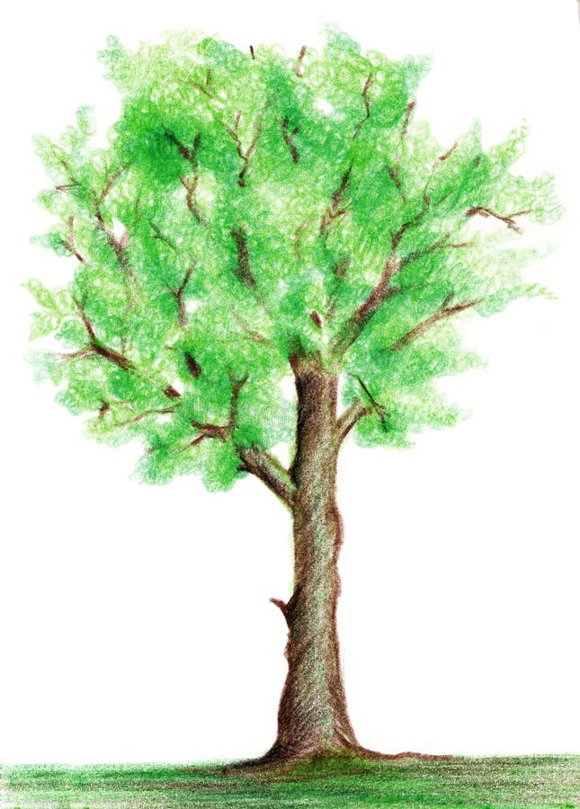 Pastel tree stock illustration. Illustration of green - 27457772