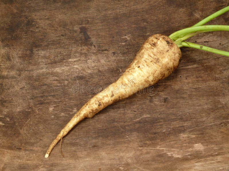 Pastinaca immagine stock. Immagine di pastinaca, bianco - 11406633