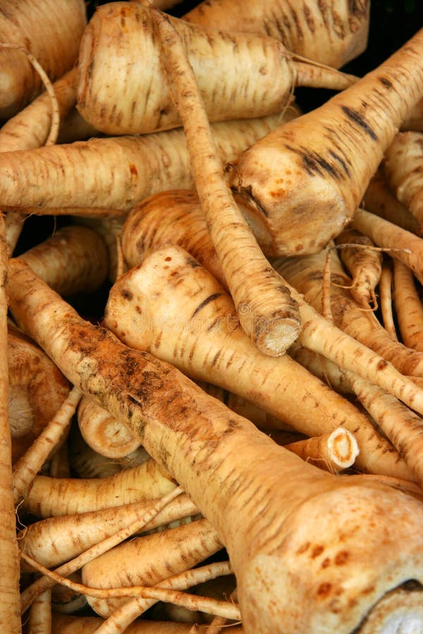 Pastinaca Orgánica Sin Procesar Foto de archivo - Imagen de dorado ...