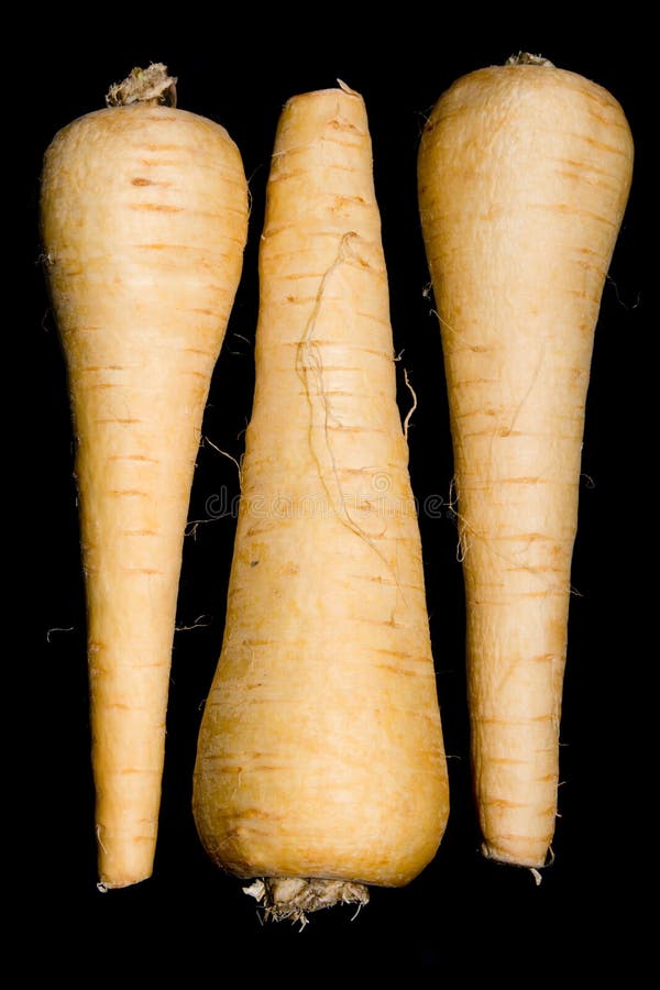 Pastinache immagine stock. Immagine di pastinaca, oggetti - 6343137