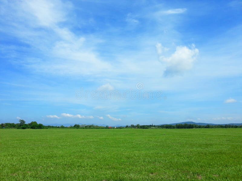 Pasto foto de archivo. Imagen de verano, prado, cielo - 96900144
