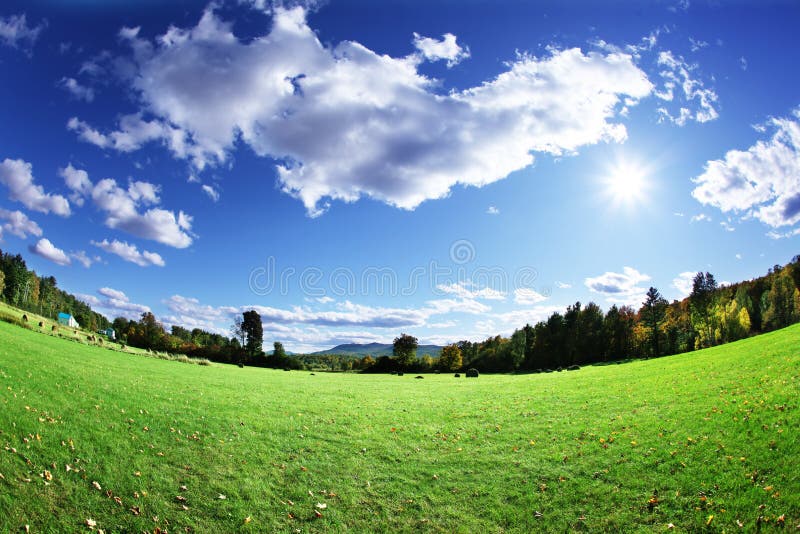 Pasto e céu imagem de stock. Imagem de campo, cultivar - 18602623