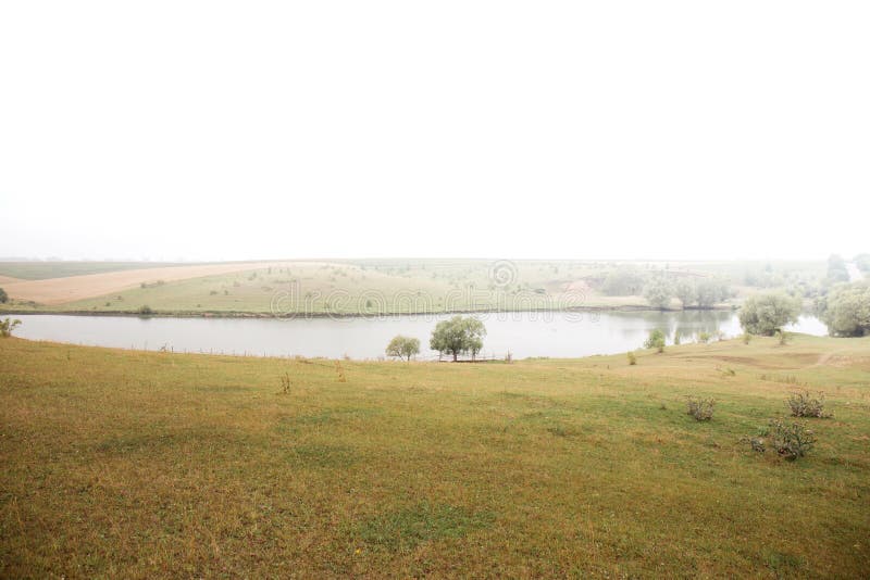 Pasto En La Orilla Del Lago Foto de archivo - Imagen de paisaje ...