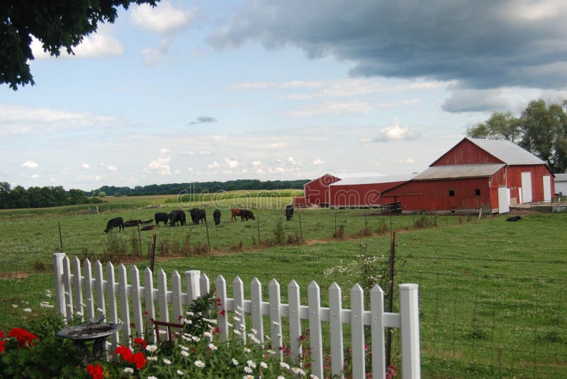 Pastoral farm scene stock image. Image of animals, landscape - 10581523