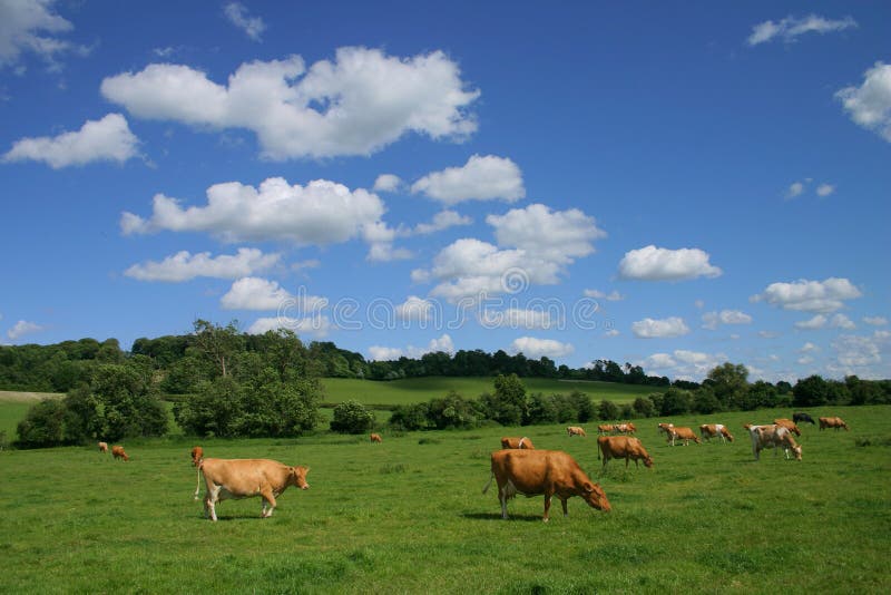 51,717 Pastoral Landscape Summer Stock Photos - Free & Royalty-Free ...