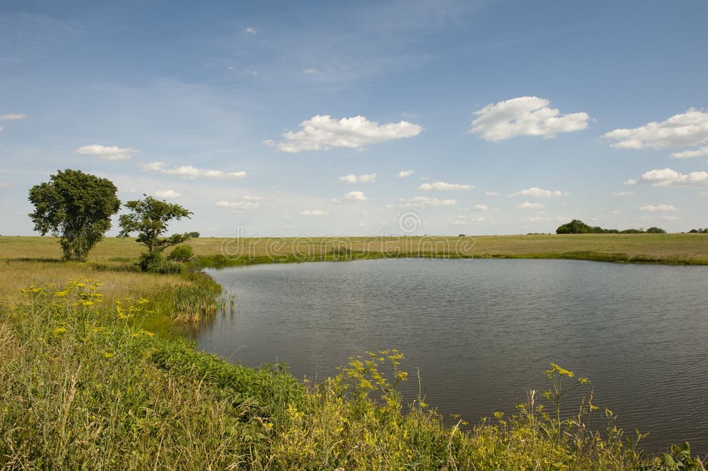 Pastoral pond stock image. Image of flowers, grass, nature - 25180973