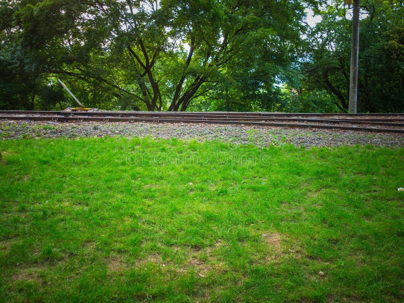 Pastoral Scene with Two Parallel Railroad Tracks Extending through a ...