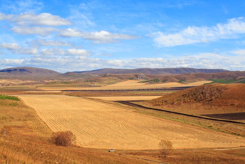 Pastoral scenery stock image. Image of distance, growing - 8034853