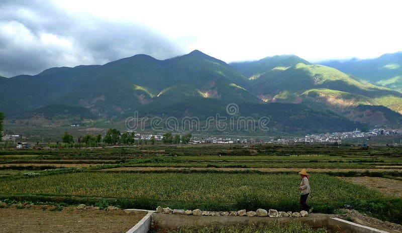 Pastoral scenery editorial photo. Image of pastoral, primitive - 49156931