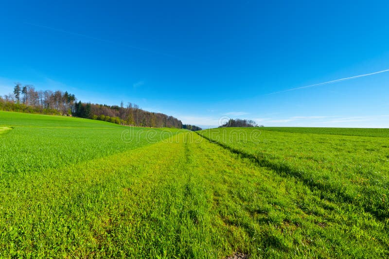 Pastos foto de archivo. Imagen de campo, farmland, pasto - 32183792