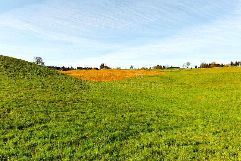 Pastos imagen de archivo. Imagen de casero, paisaje, pastoral - 35487843