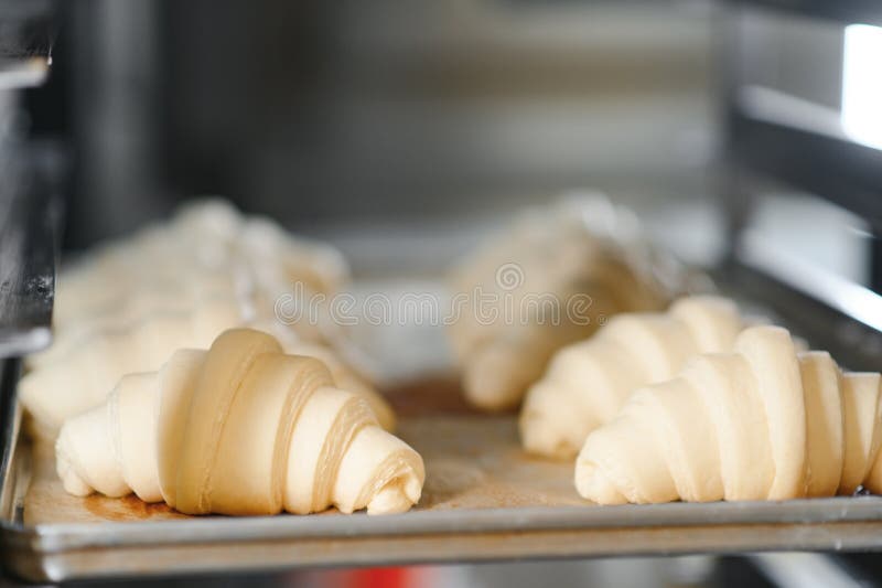 Pastry Chef Making Some Croissant in the Bakery Stock Image - Image of ...