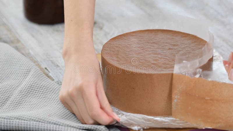 Acetate Strips Stock Footage & Videos - 1 Stock Videos