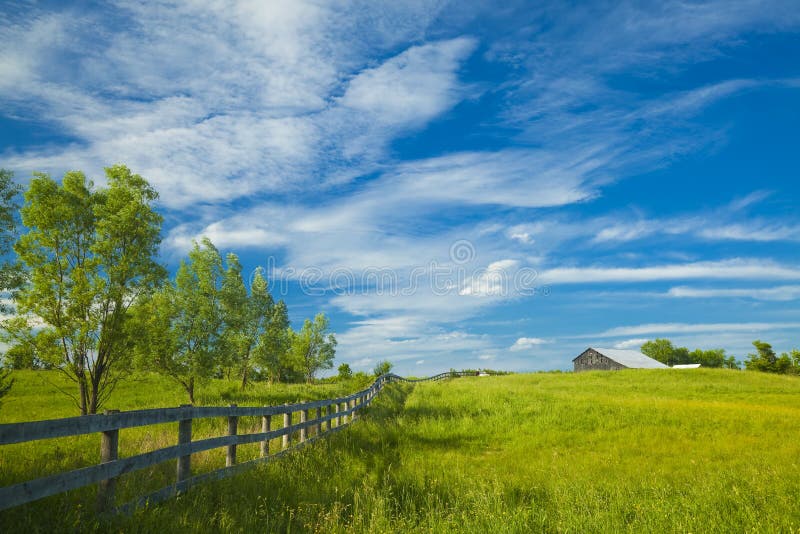 Pasture stock image. Image of lawn, grassland, post, grass - 15708659
