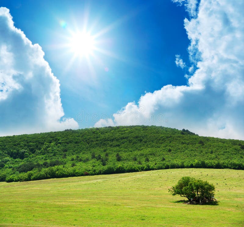 Pasture stock image. Image of country, farm, beautiful - 16071339